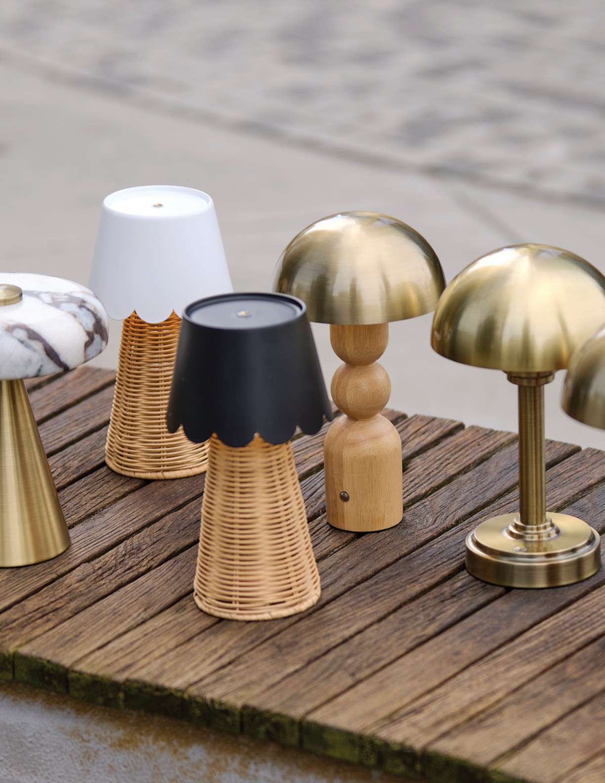 2025 Spring New Intro Catalog - NP