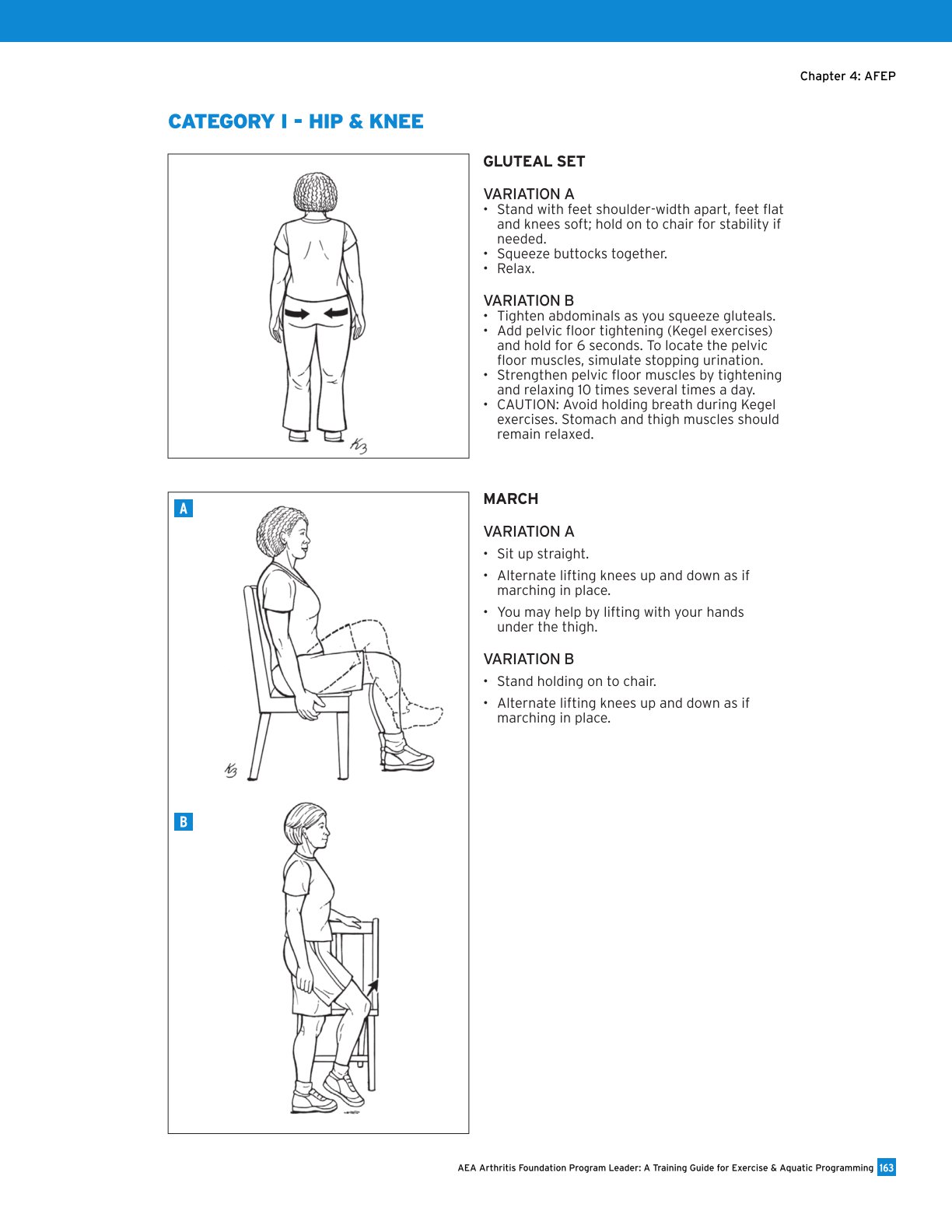 AEA Arthritis Foundation Program Leader: A Training Guide for Exercise ...