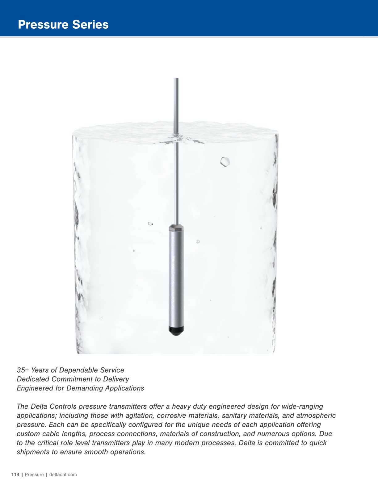 Delta Controls Product Catalog 2025