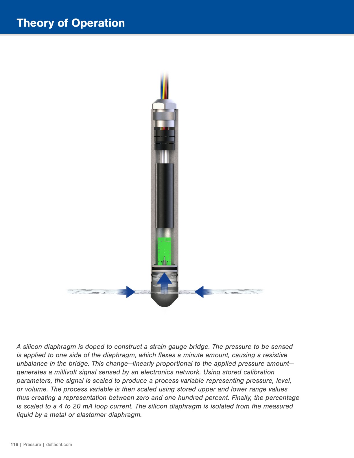 Delta Controls Product Catalog 2025