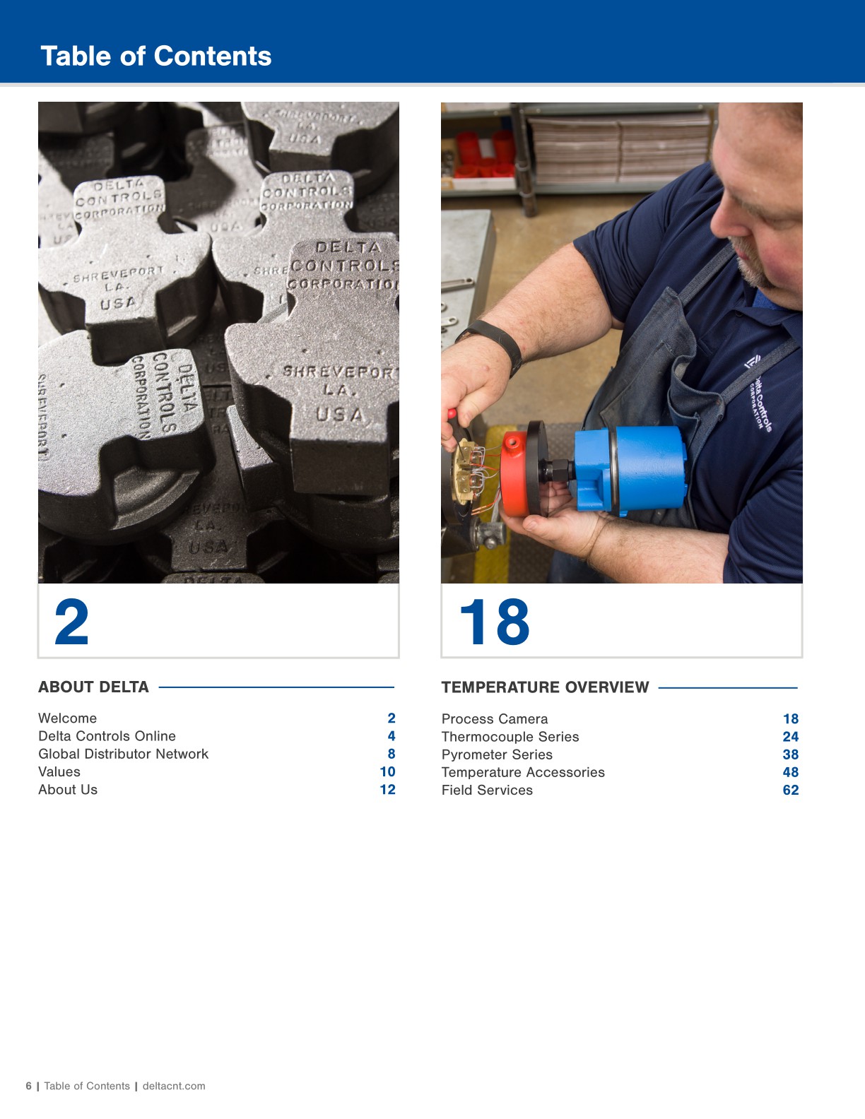 Delta Controls Product Catalog 2025