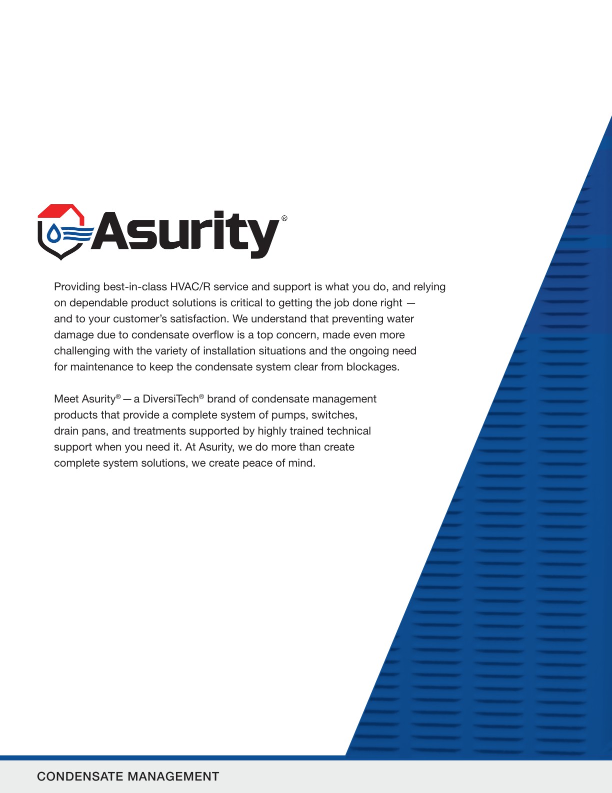 Asurity Catalog - Product, Merchandising, & The Promise