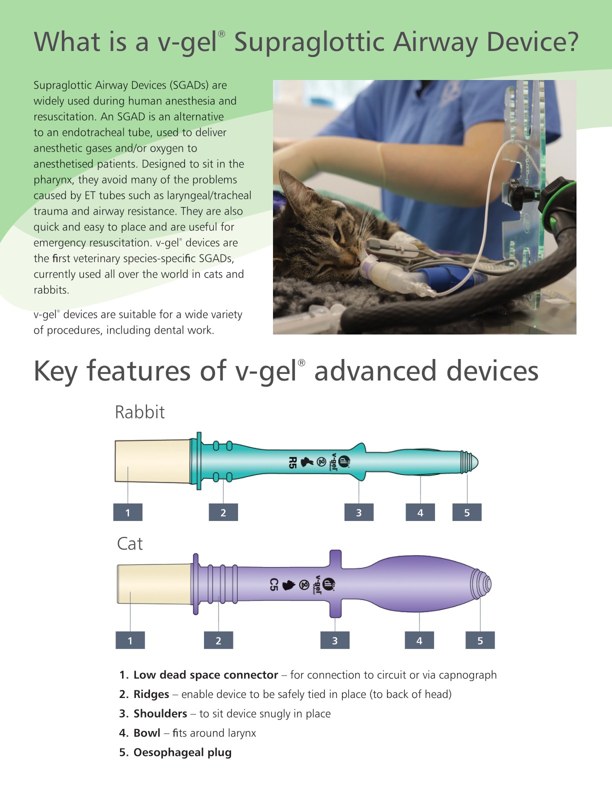 v-gel Advanced Supraglottic Airway Devices (Cat/Rabbit) Literature ...