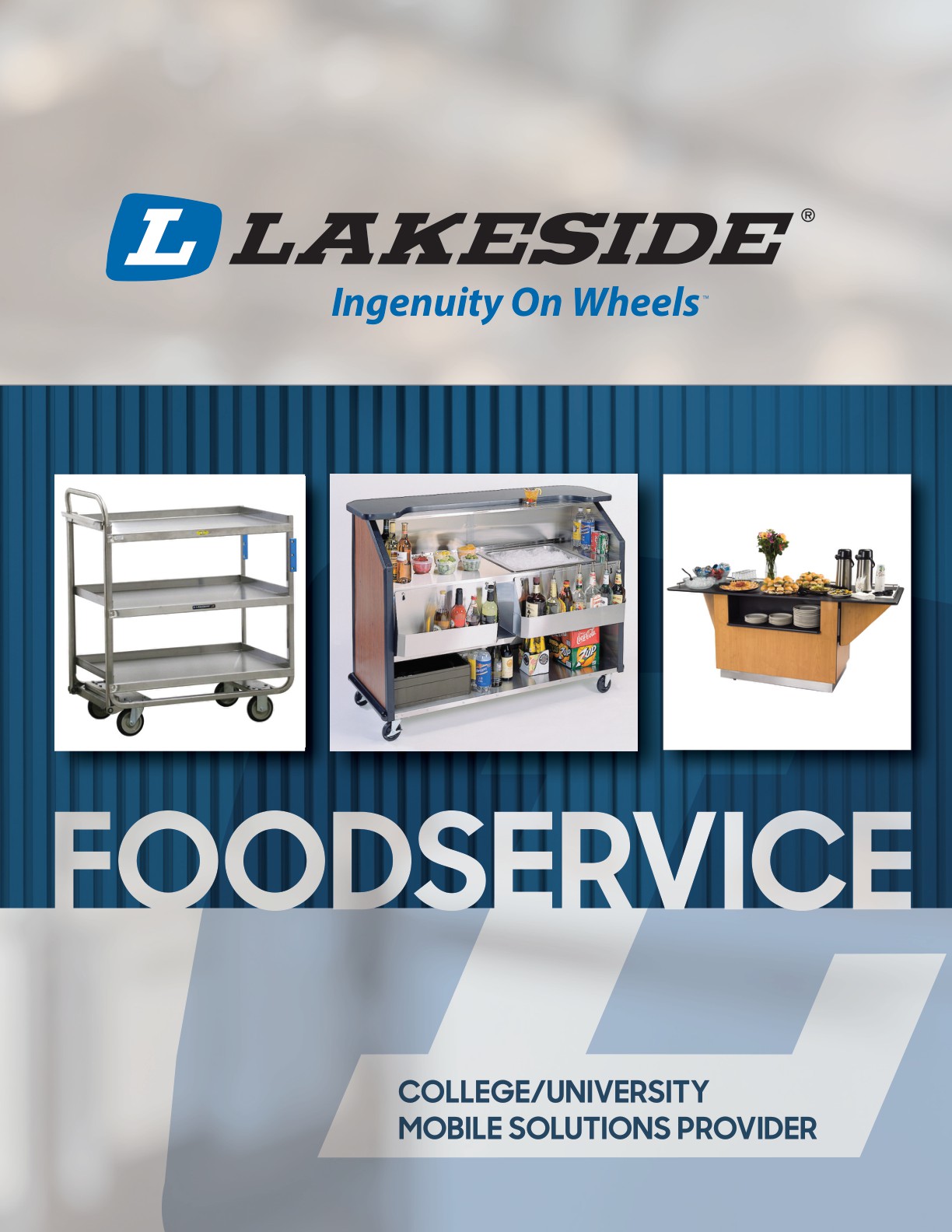 Lakeside College and University Brochure