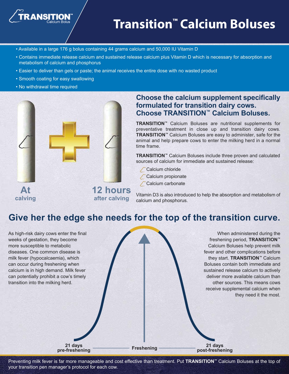 Transition Bolus Flyer