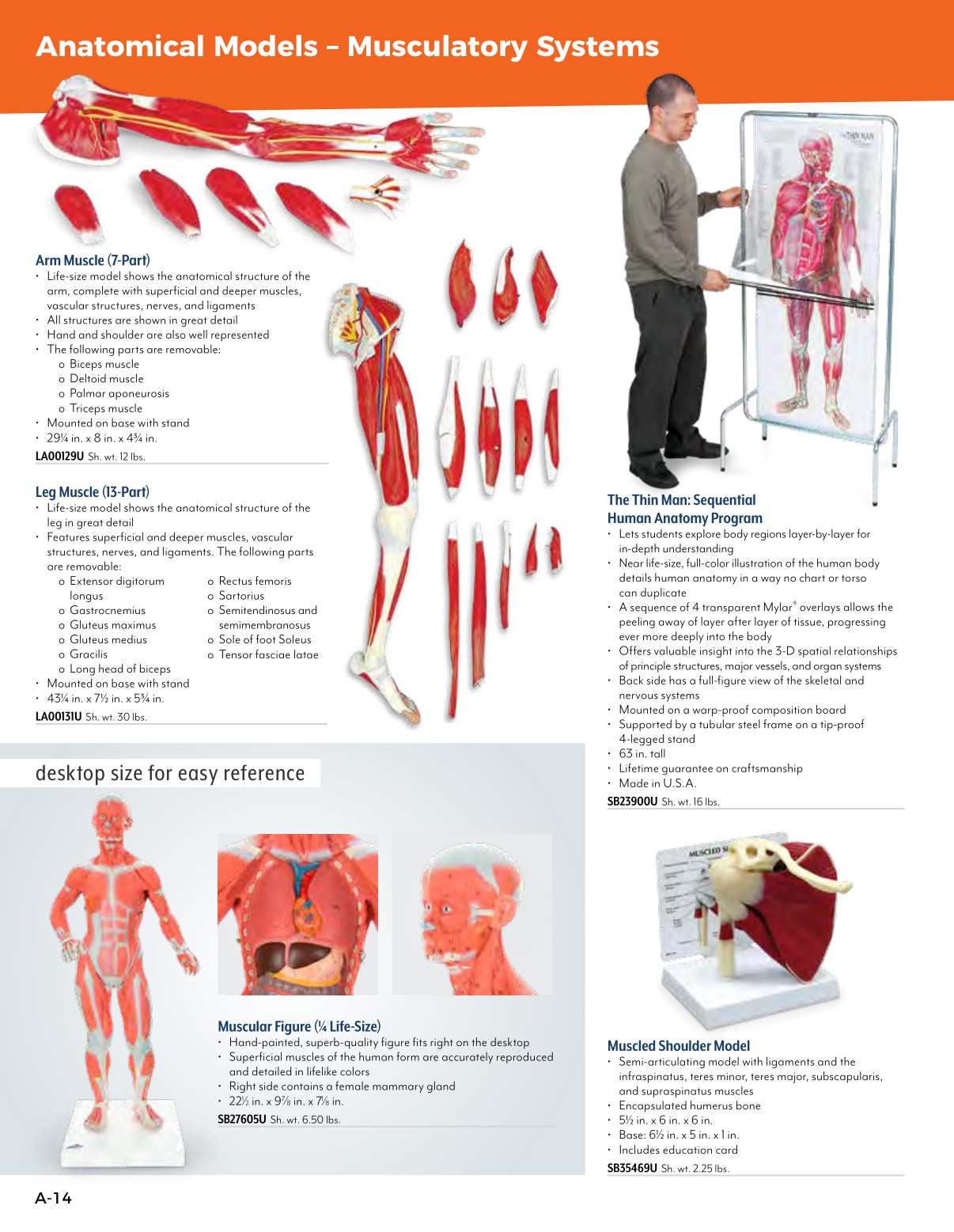 Nasco Healthcare Full Catalog