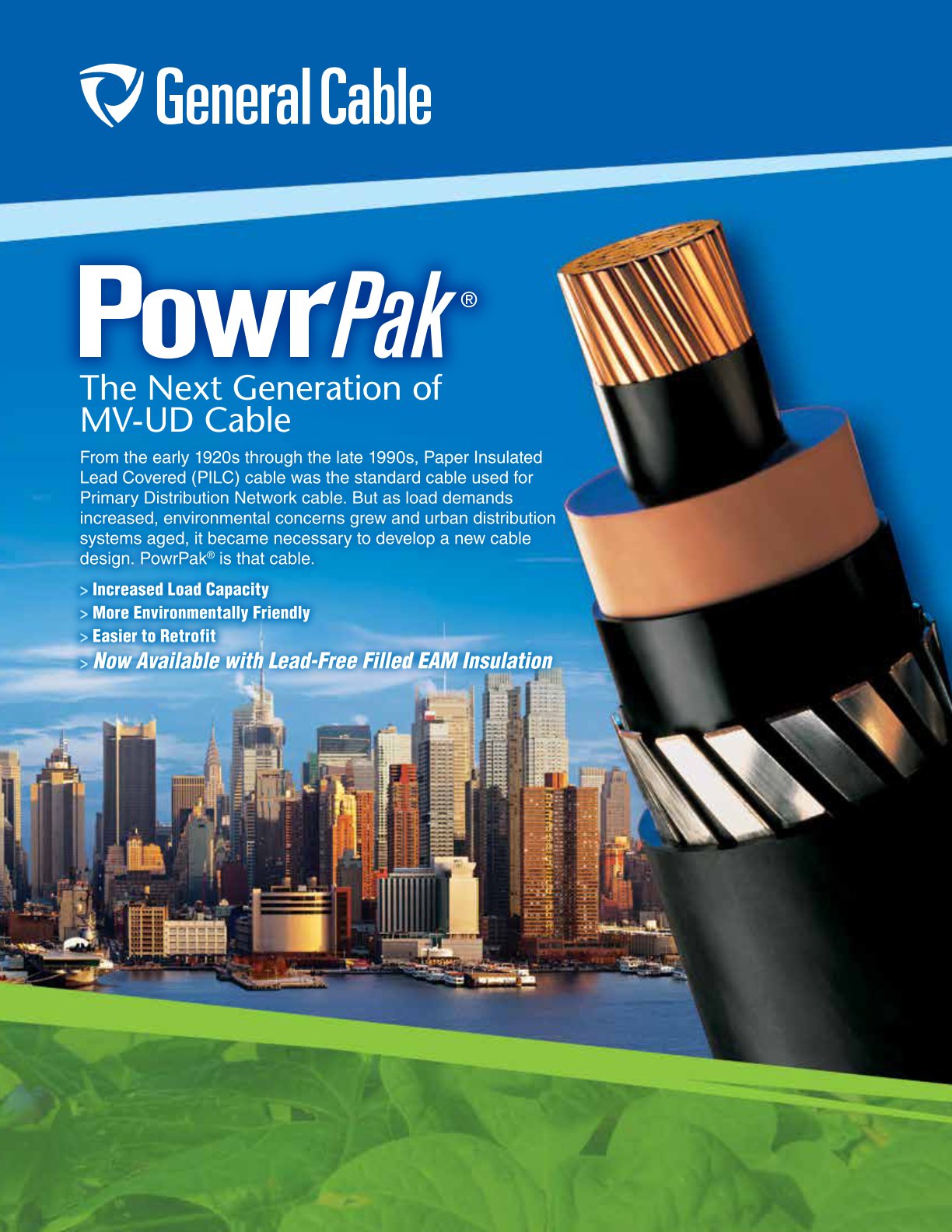 Electric Utility (U.S.)