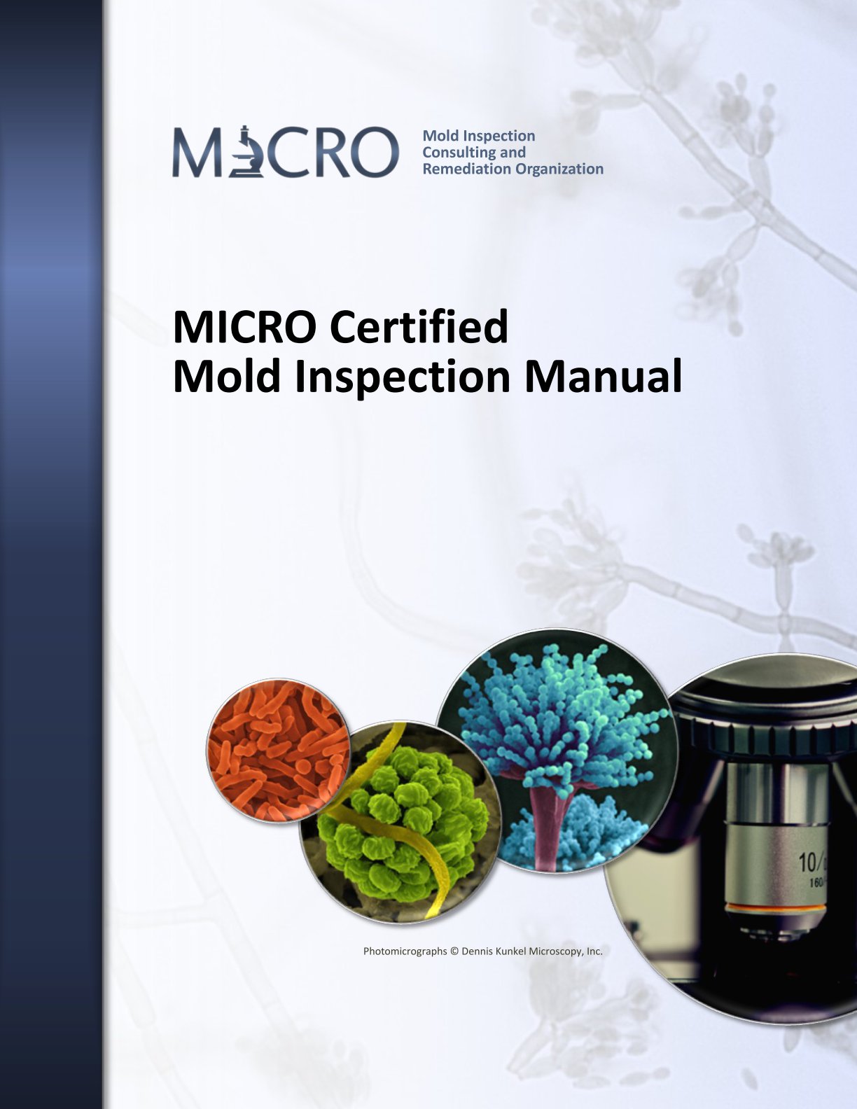 Mold Inspection Manual