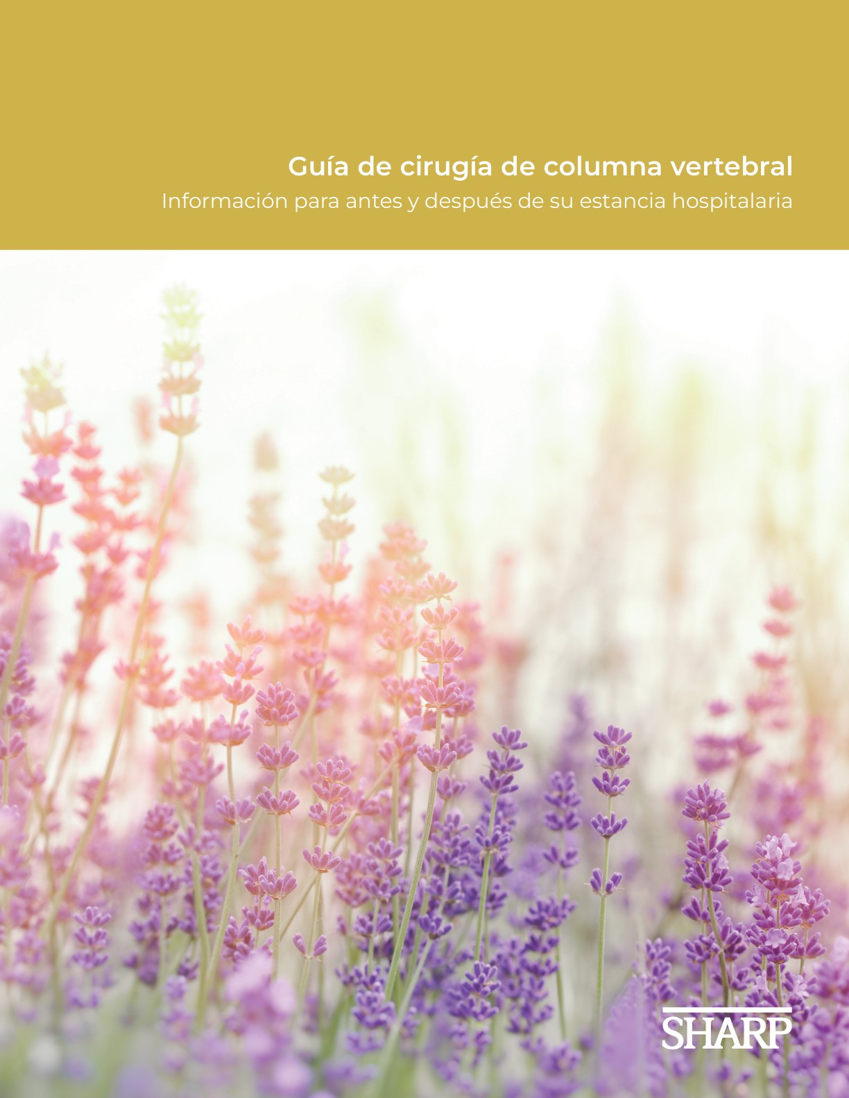 Spine Surgery Guide (Spanish)