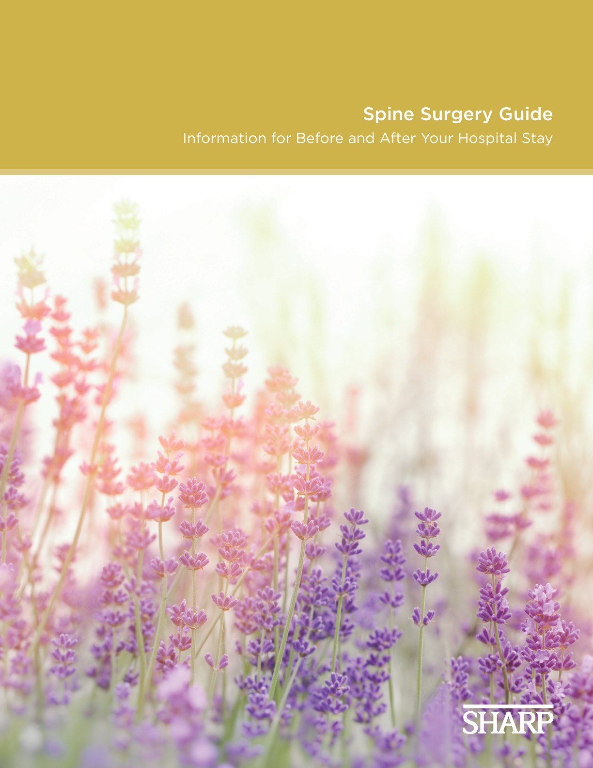 Spine Surgery Guide