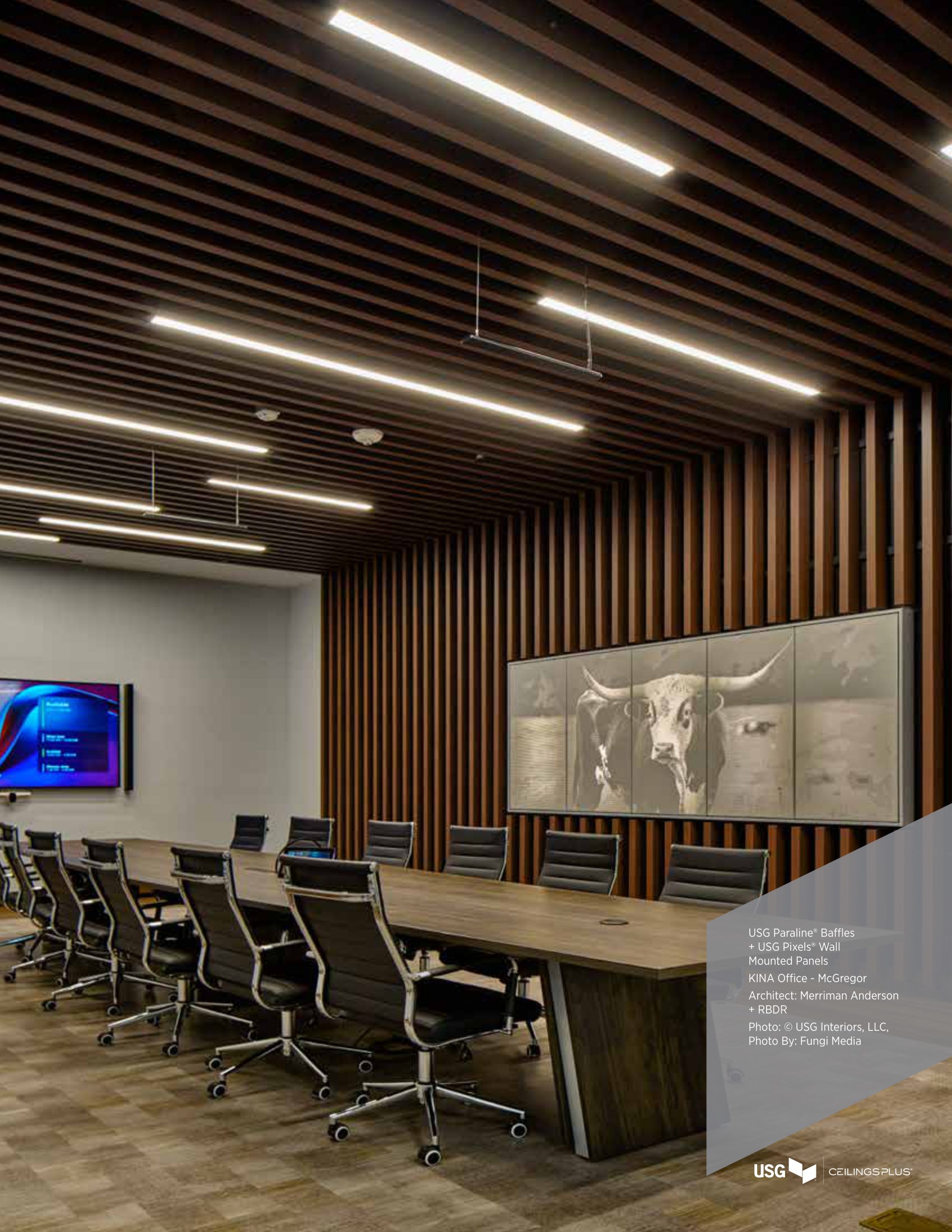 ceilings plus look book